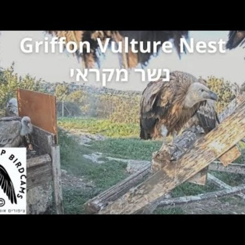Live National Park Webcams | Nature & Wildlife Views Live